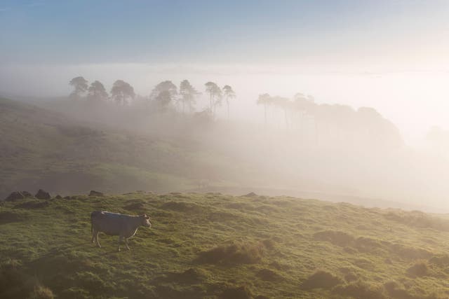 When do the clocks go forward – and why are they changing? | The ...