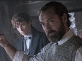 Fantastic Beasts: Harry Potter spin-off future given ‘frank’ update by ...