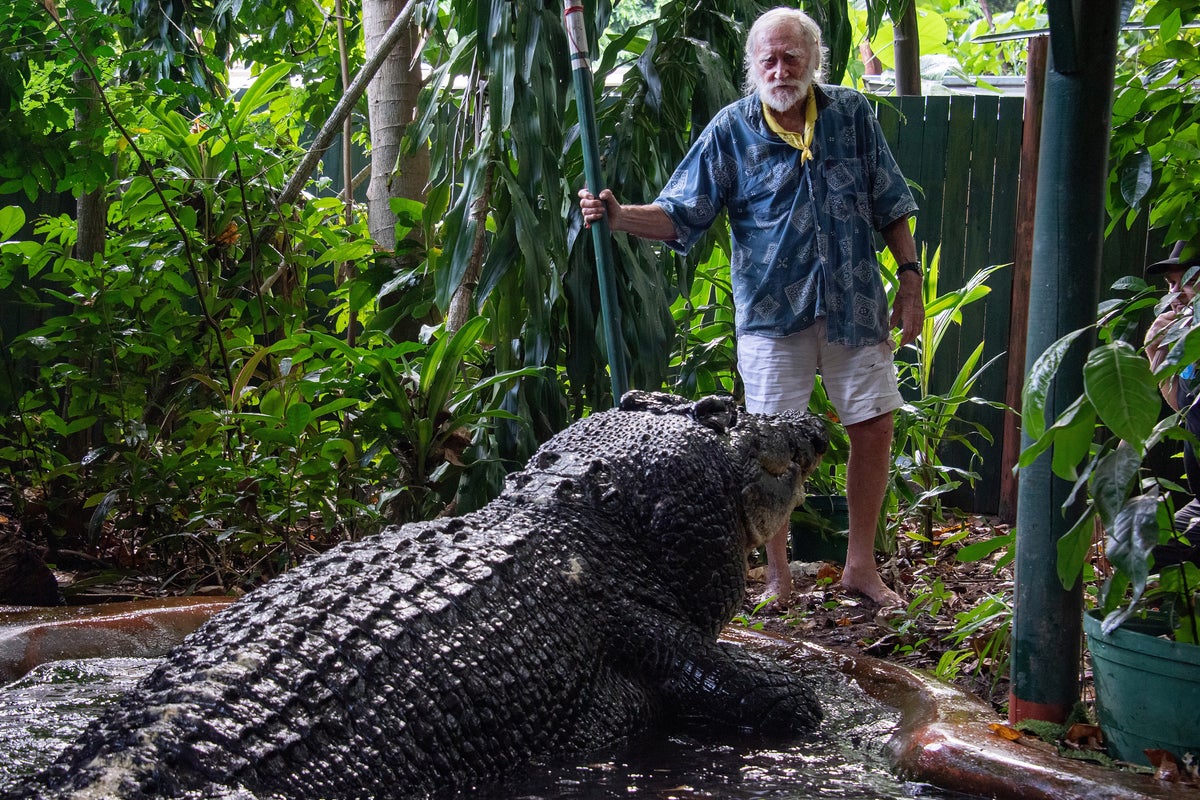 RIP Cassius: The giant record breaking crocodile has died at roughly ...