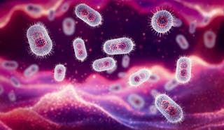 Mpox symptoms explained: From painful skin rash and blisters to fever ...