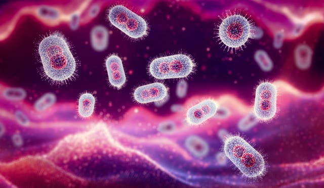 Mpox symptoms explained: From painful skin rash and blisters to fever ...