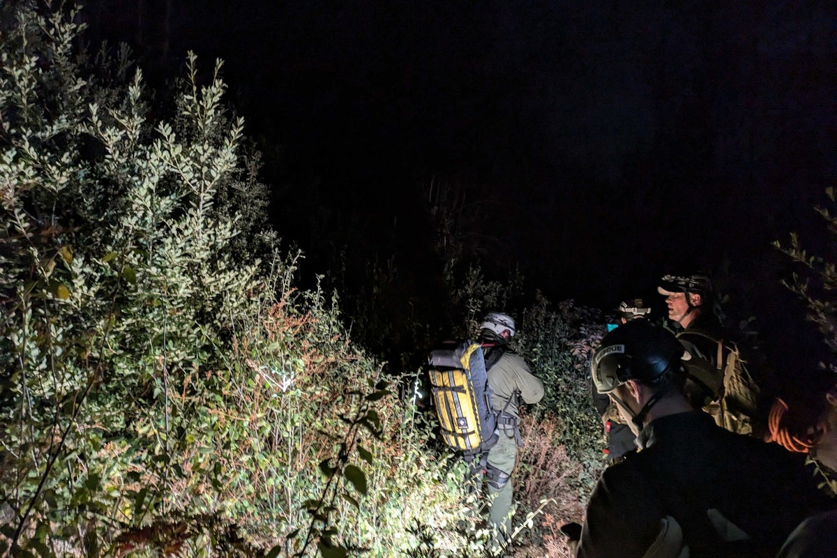 Missing gold panner rescued after two nights alone in California forest ...