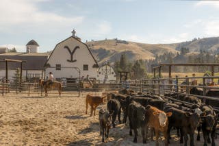 The true story behind the real-life Dutton ranch where Yellowstone is ...