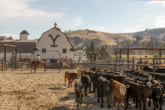 The true story behind the real-life Dutton ranch where Yellowstone is ...