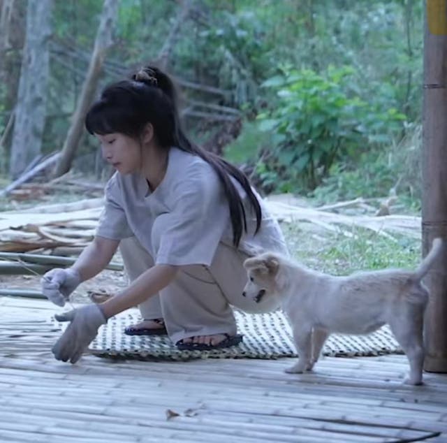 What happened to Li Ziqi? Popular Chinese farm life influencer returns ...