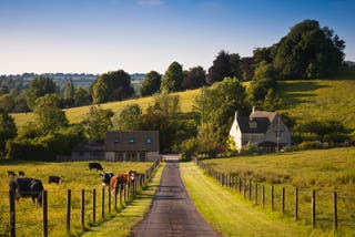 ‘The tractor tax means we’re sleepwalking into food shortages’ | The ...