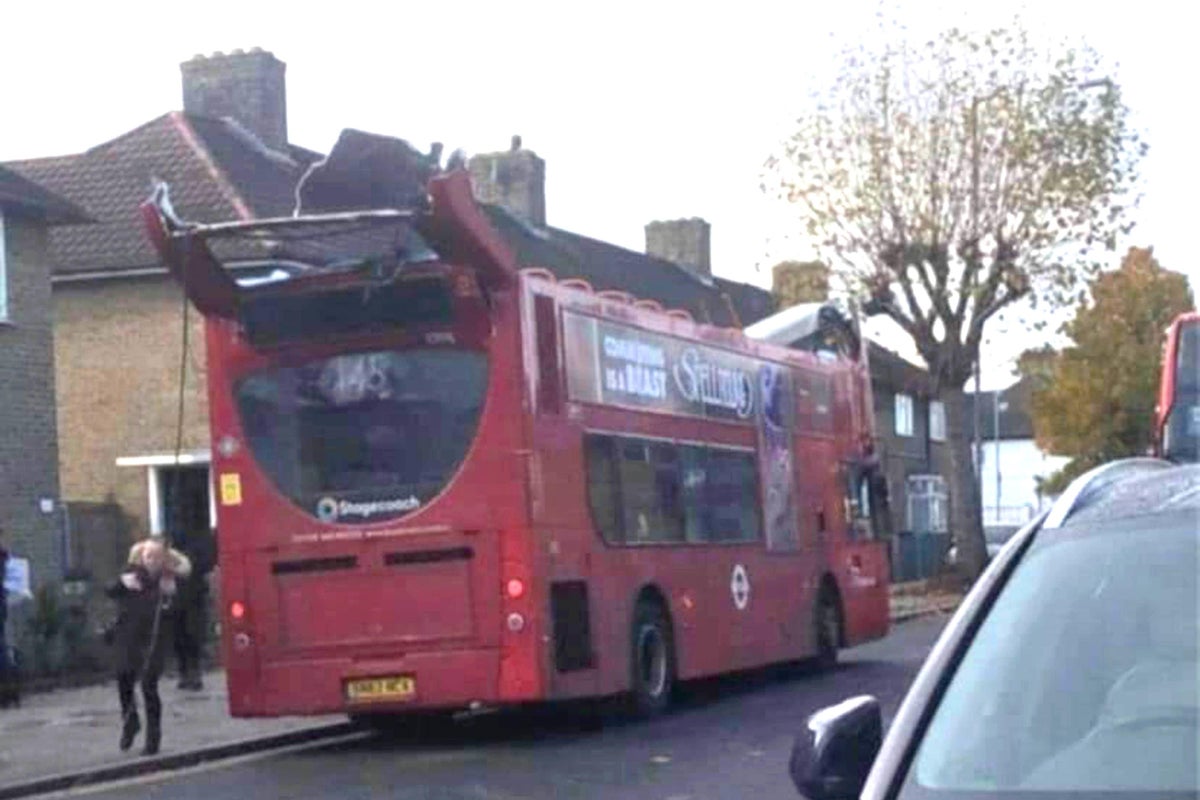 Two women in hospital after bus roof ‘taken clean off’ in tree ...