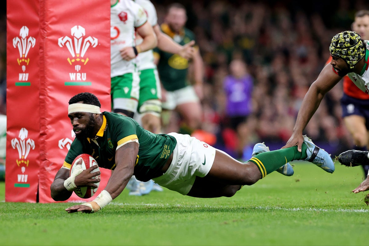 Springboks run rampant as Wales condemned to winless year - live | The ...