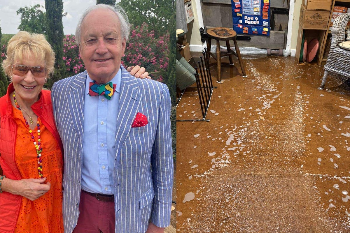 TV personality Christine Hamilton’s kitchen submerged by Storm Bert ...