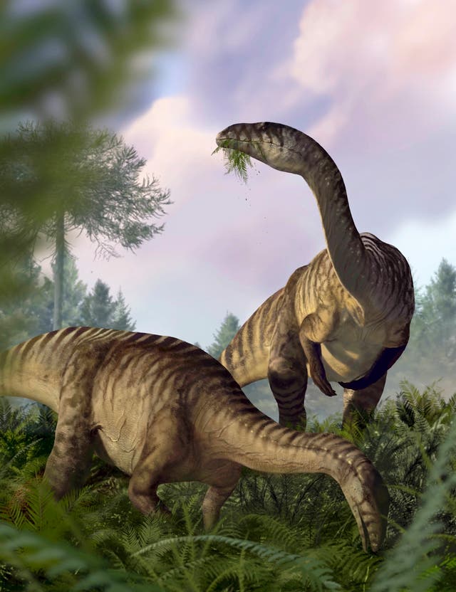 Huge study of fossilised dinosaur poo reveals how beasts came to rule ...