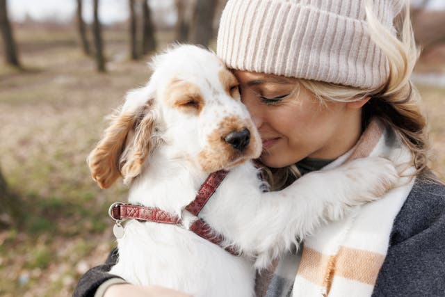 The people who treat their dogs like babies – and feel ‘mum guilt ...