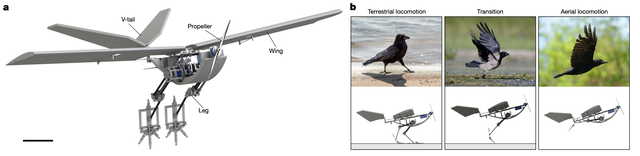 Drone inspired by birds takes off by jumping into flight | The Independent