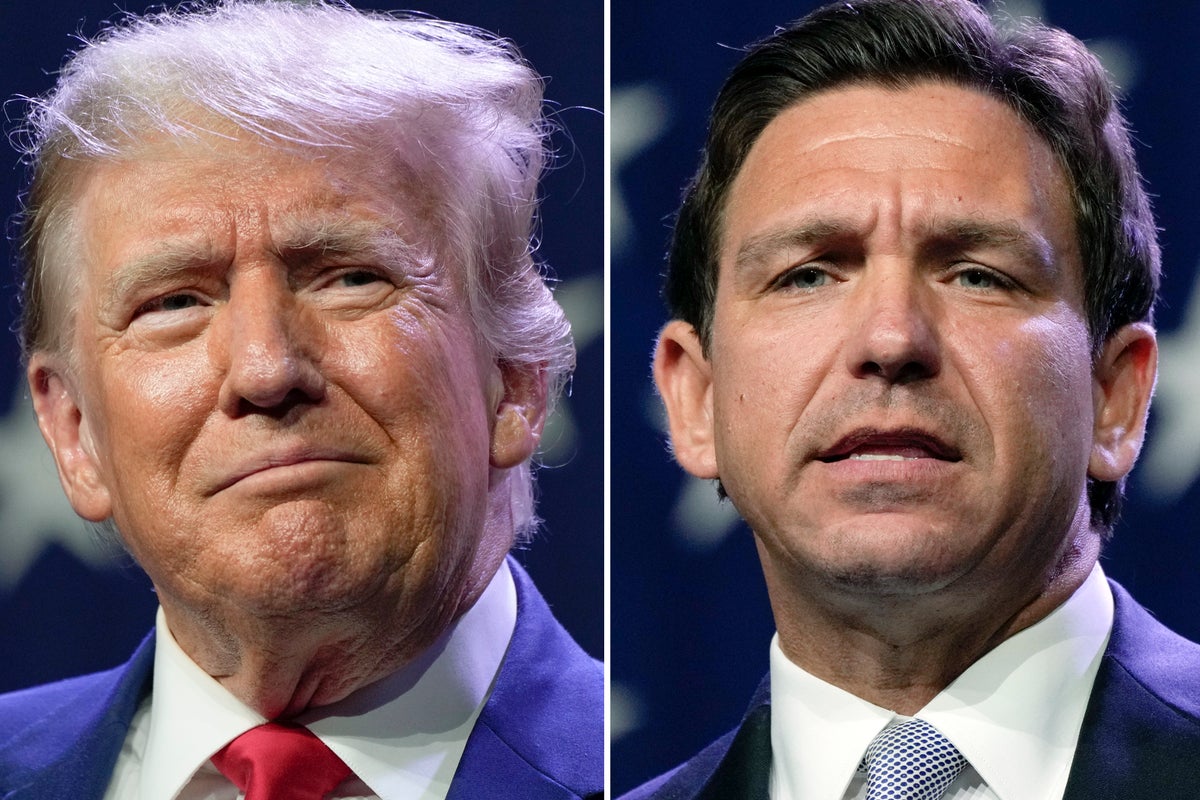 DeSantis picks a side in MAGA’s visa civil war: ‘We’ve got some big ...