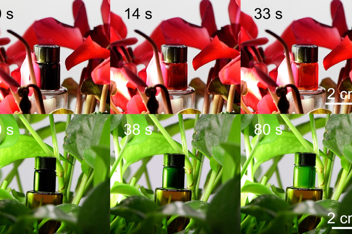 Invisibility cloak a reality? Scientists claim breakthrough camouflage ...