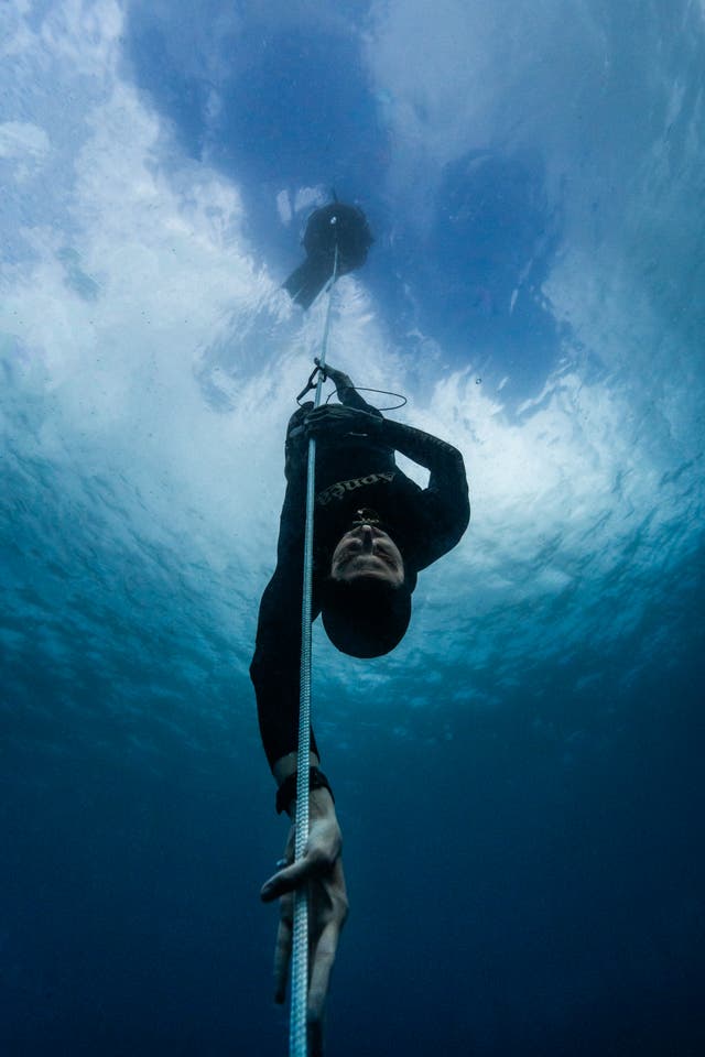 Why freedivers take extreme risks to find peace deep under the water’s ...