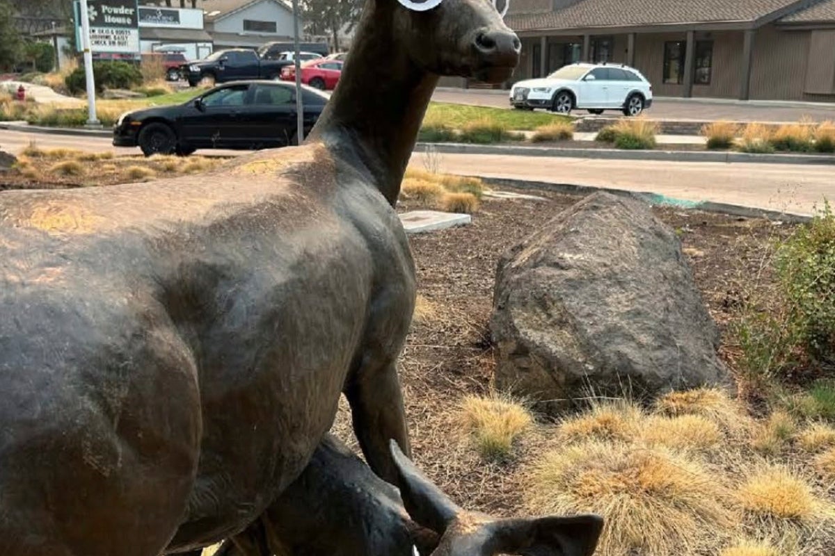 Mysterious googly eyes go viral after appearing on public art in Oregon ...