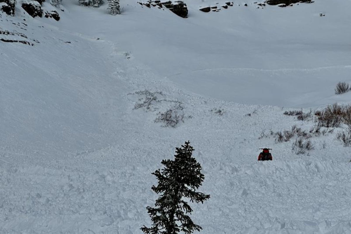 Man rescues brother from avalanche after finding his fingers sticking ...