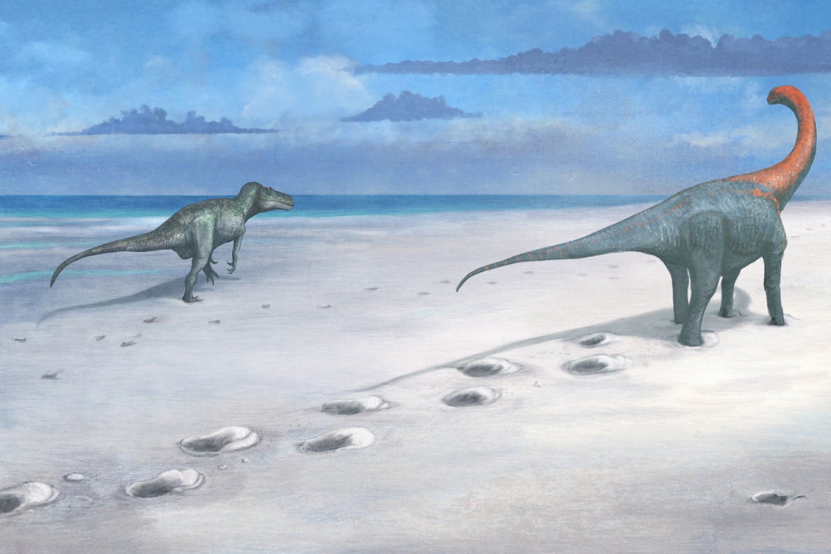 Britain’s ‘dinosaur highway’ discovered in Oxford quarry | The Independent