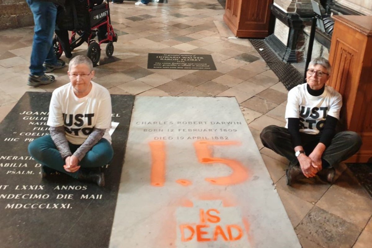 Just Stop Oil activists deface Charles Darwin’s grave inside ...