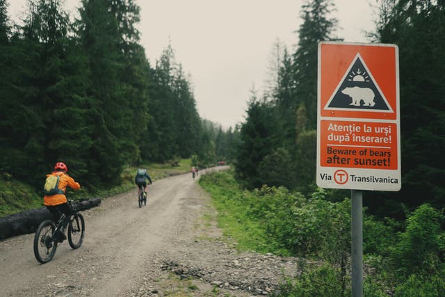 Via Transylvanica: The unearthed wild cycling trail bringing visitors ...
