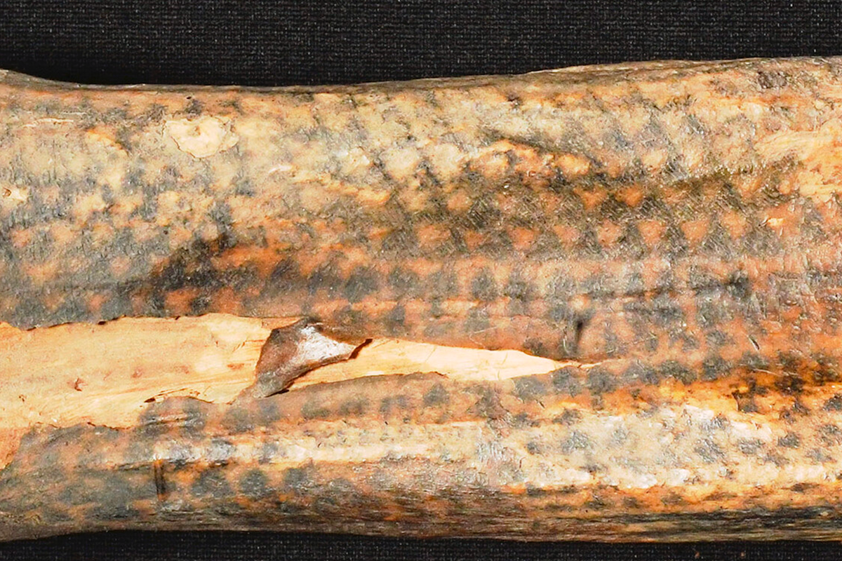 Laser scans reveal secrets of strange tattoos on 1,200-year-old mummies ...