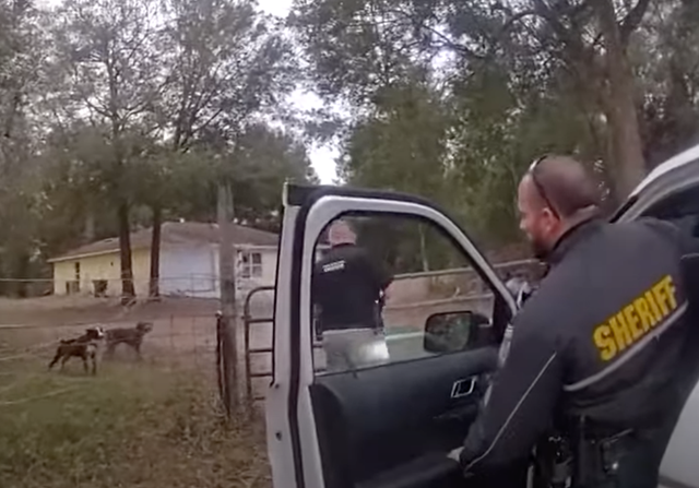 Family sets up GoFundMe after boy, 8, is mauled to death by dogs he ...