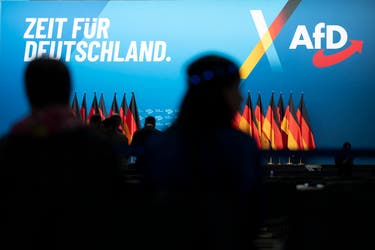 AfD - latest news, breaking stories and comment - The Independent