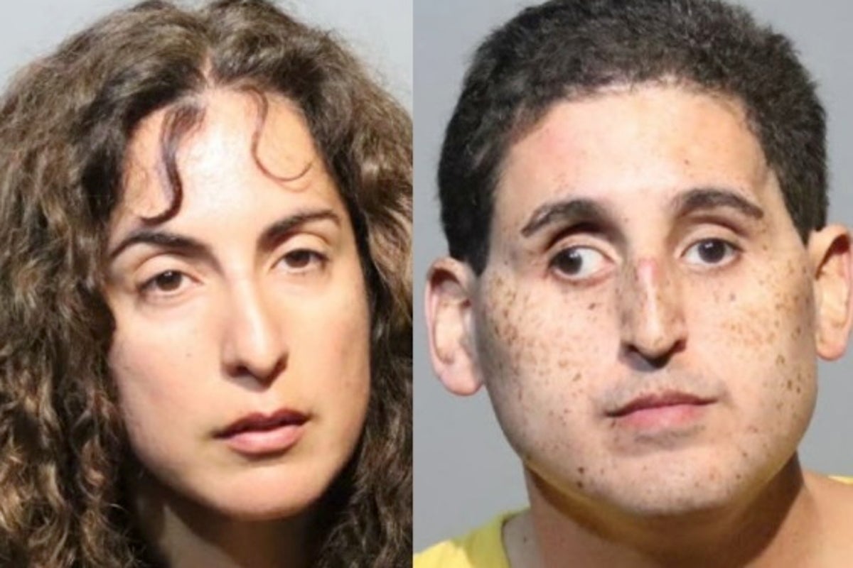 Children’s author and husband admit to abusing their adopted children ...