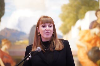 Angela Rayner tried to block Prince Andrew from royal duties, book ...