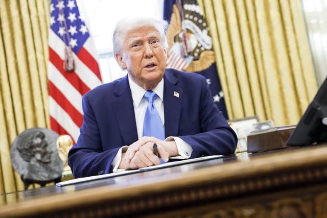 Plants and fake news: All the ways Trump and Musk have floated catching ...
