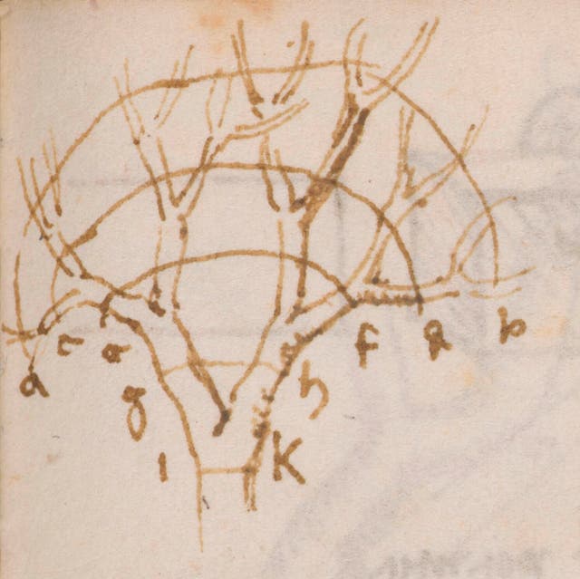 Scientists uncover hidden maths depicted in tree branch patterns in da ...