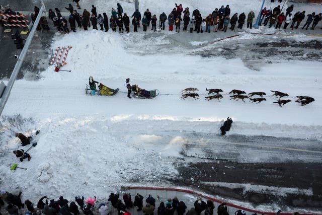 A lack of snow is irrevocably changing an historic Alaskan sled-dog ...