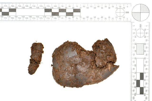 Secrets of the Bellaghy bog body are finally revealed | The Independent