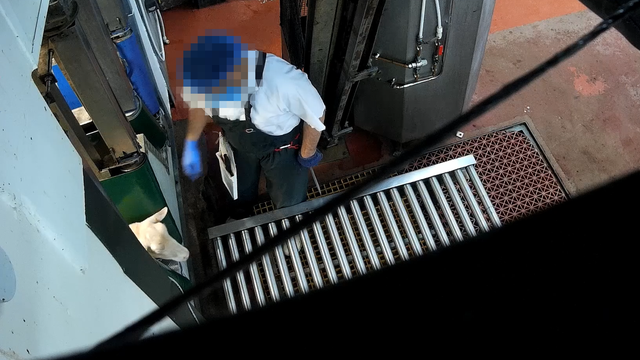 Warwickshire slaughterhouse staff played wolf sounds to sheep and ...