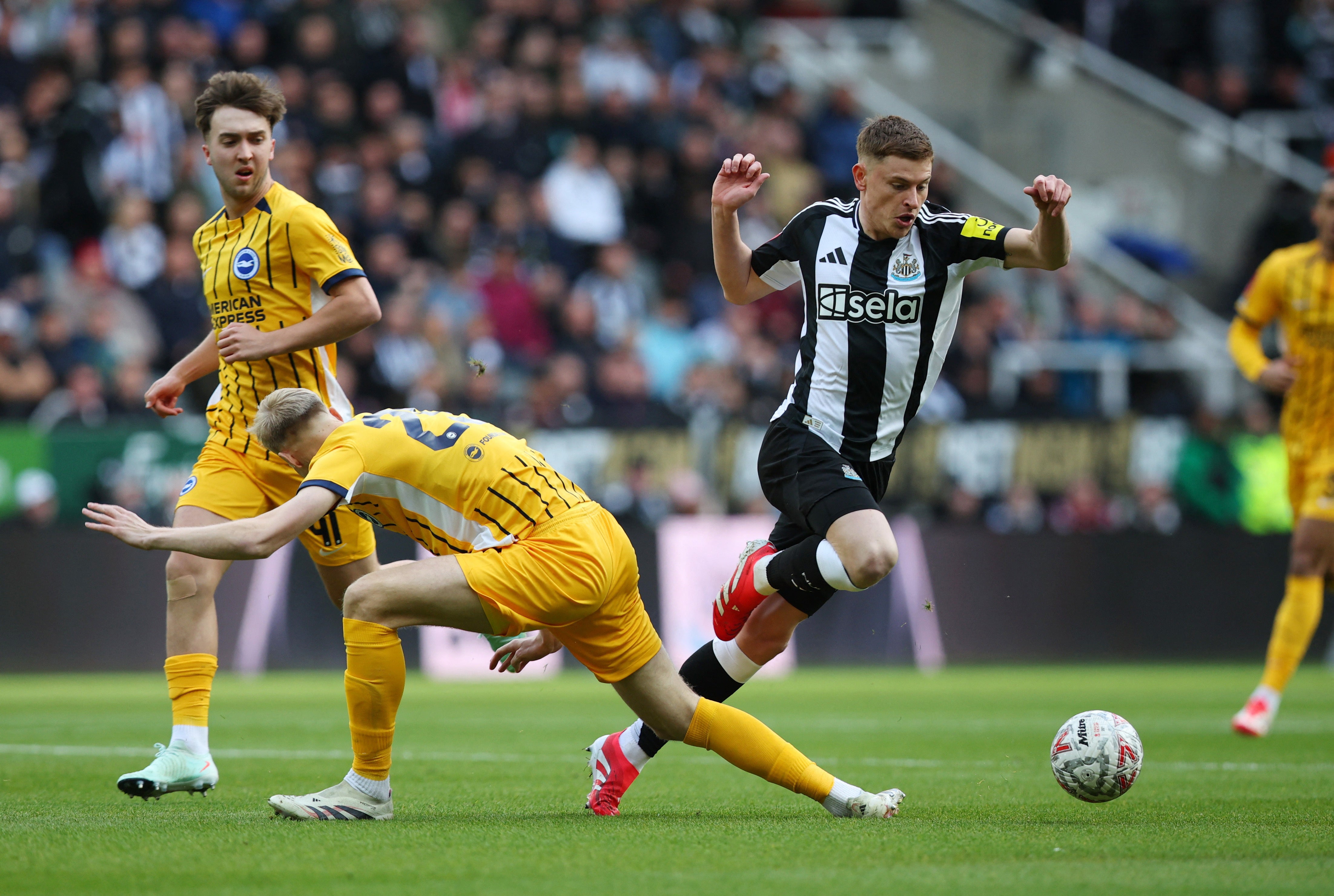 Newcastle vs Brighton LIVE FA Cup latest score and goal updates as Alexander Isak starts fifth round tie The Independent