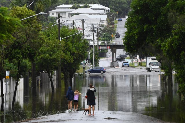 Sharks swim in flooded canals as Australia grapples with cyclone Alfred ...