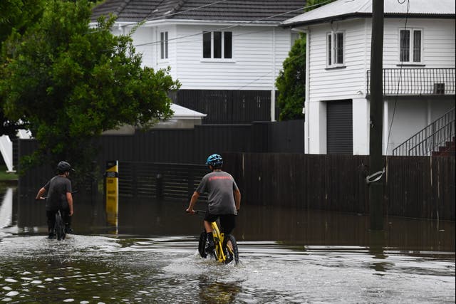 Sharks swim in flooded canals as Australia grapples with cyclone Alfred ...