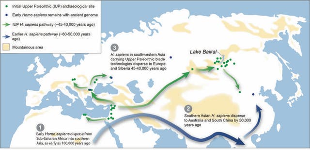 Groundbreaking DNA study reveals when humans likely began talking | The ...