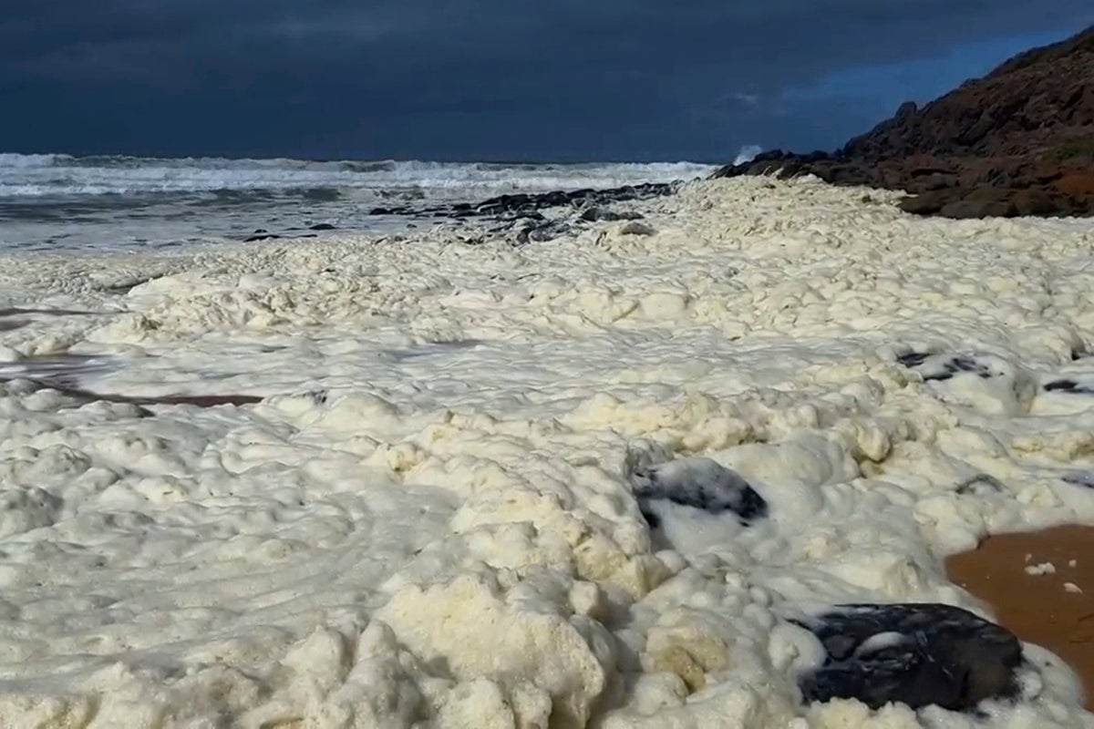 Weird mass of sea foam coats beaches – but what is in it and should we ...