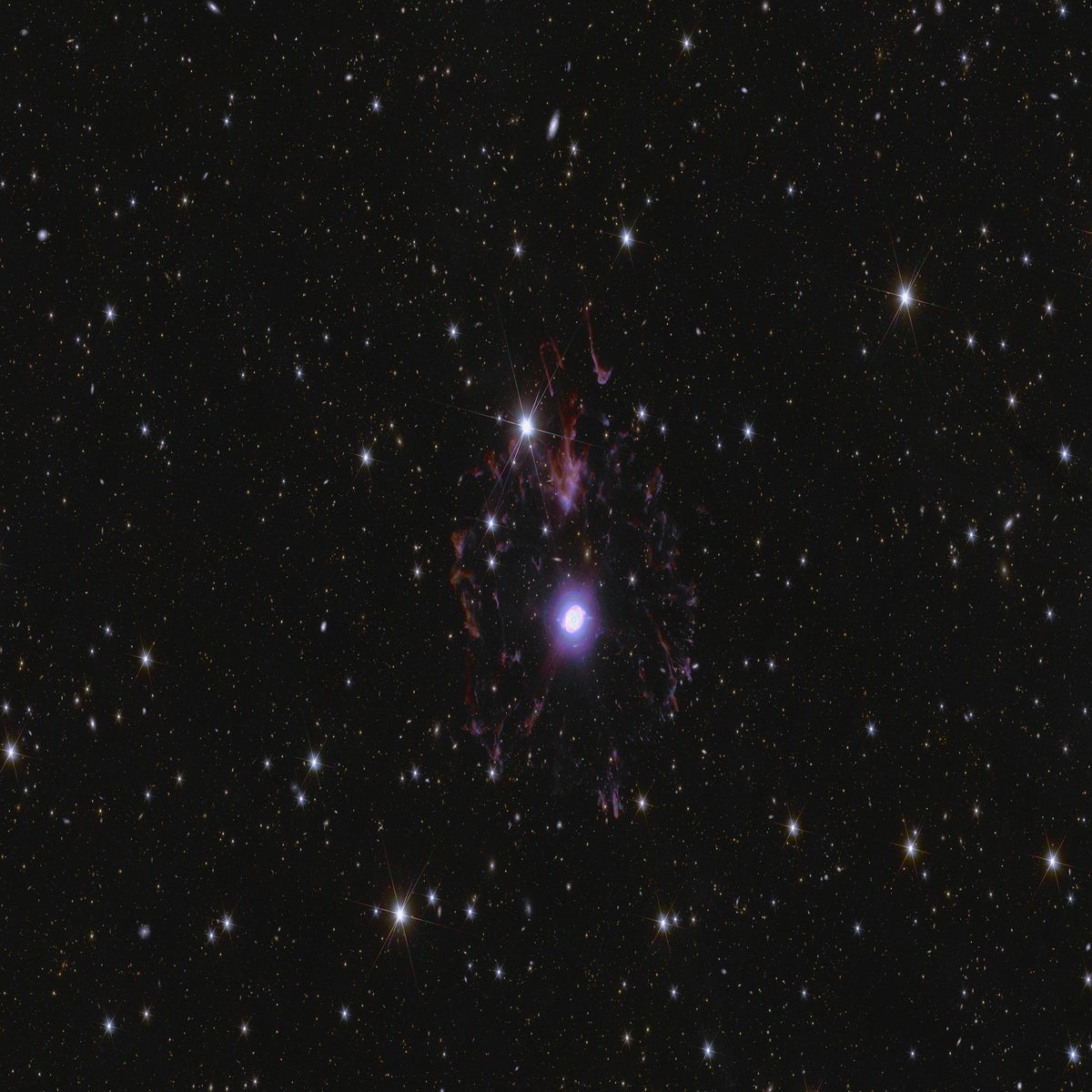 Cats Eye Nebula Constellation Guide NGC6543: The Cat's Eye Nebula