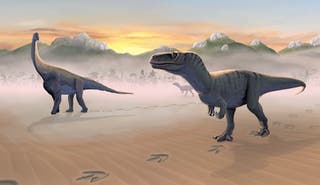 New footprints reveal secrets of dinosaur gathering on Isle of Skye ...