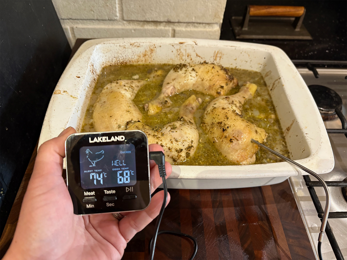 Best meat thermometers 2025, tried and tested | The Independent