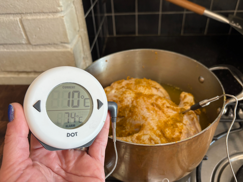 Best meat thermometers 2025, tried and tested | The Independent