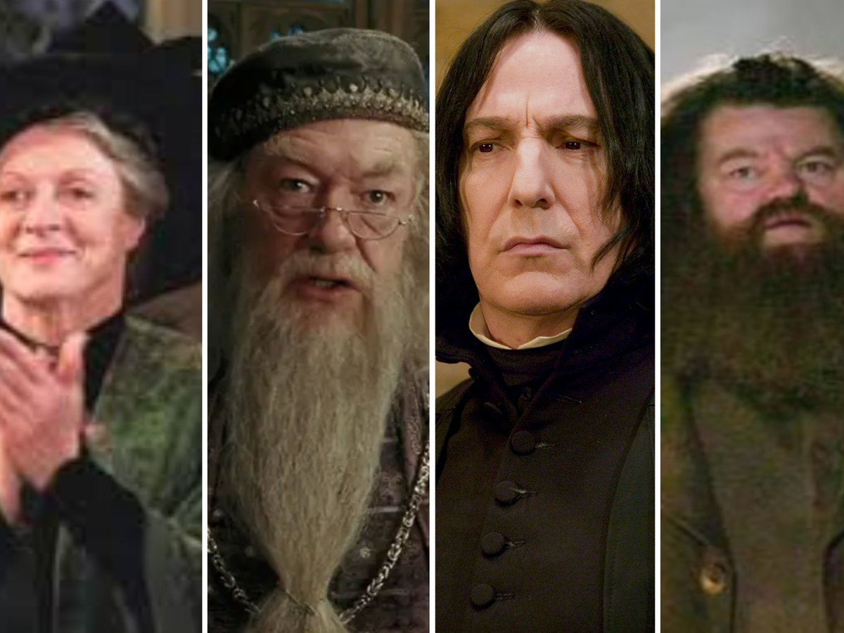 Harry Potter Characters Including Snape And Dumbledore