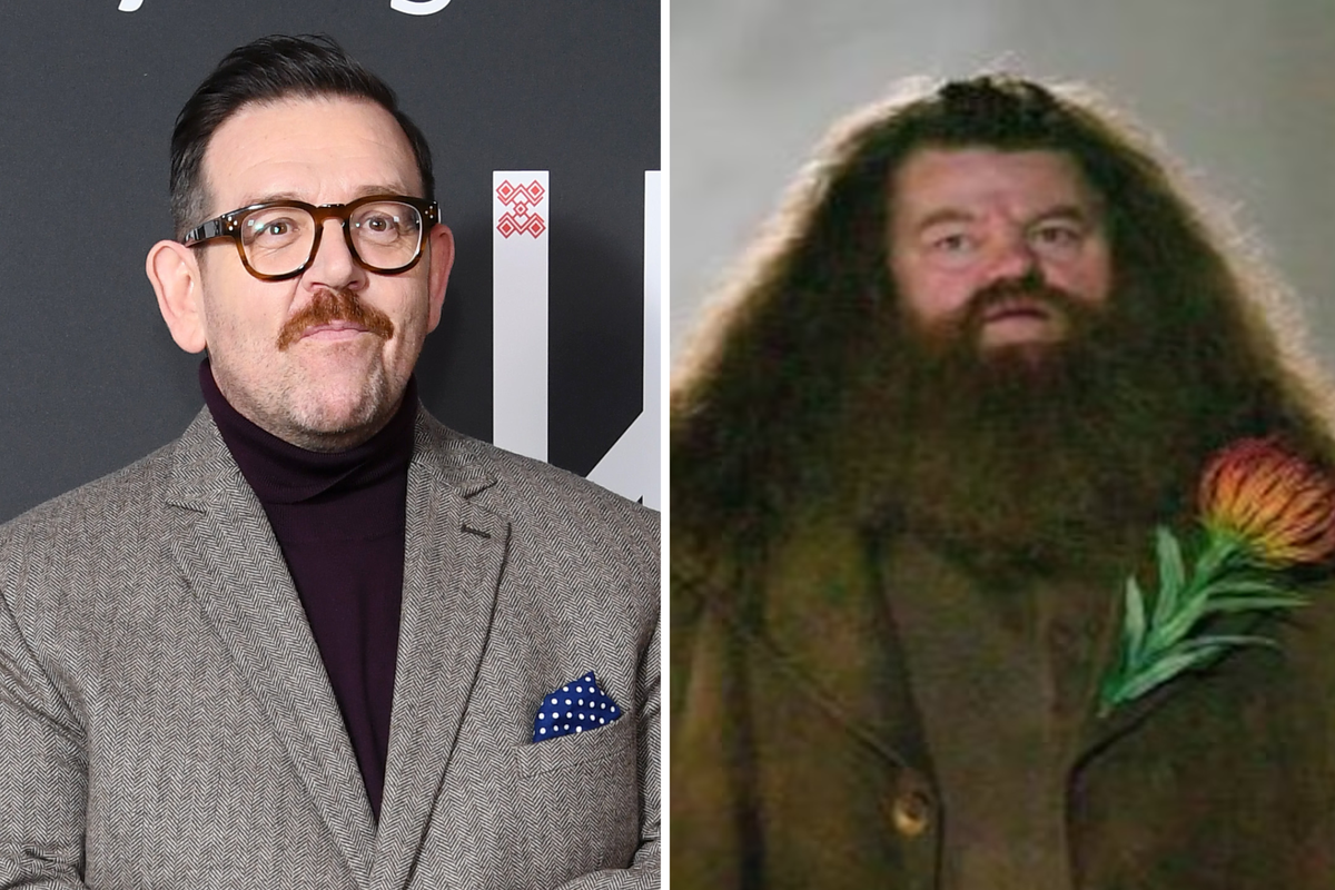 Nick Frost says ‘some people won’t like’ his Hagrid in new Harry Potter ...