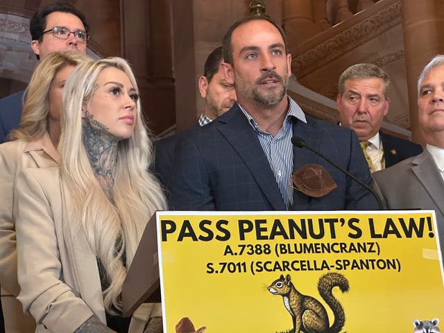 Did Peanut need to die? New details emerge in social media squirrel ...