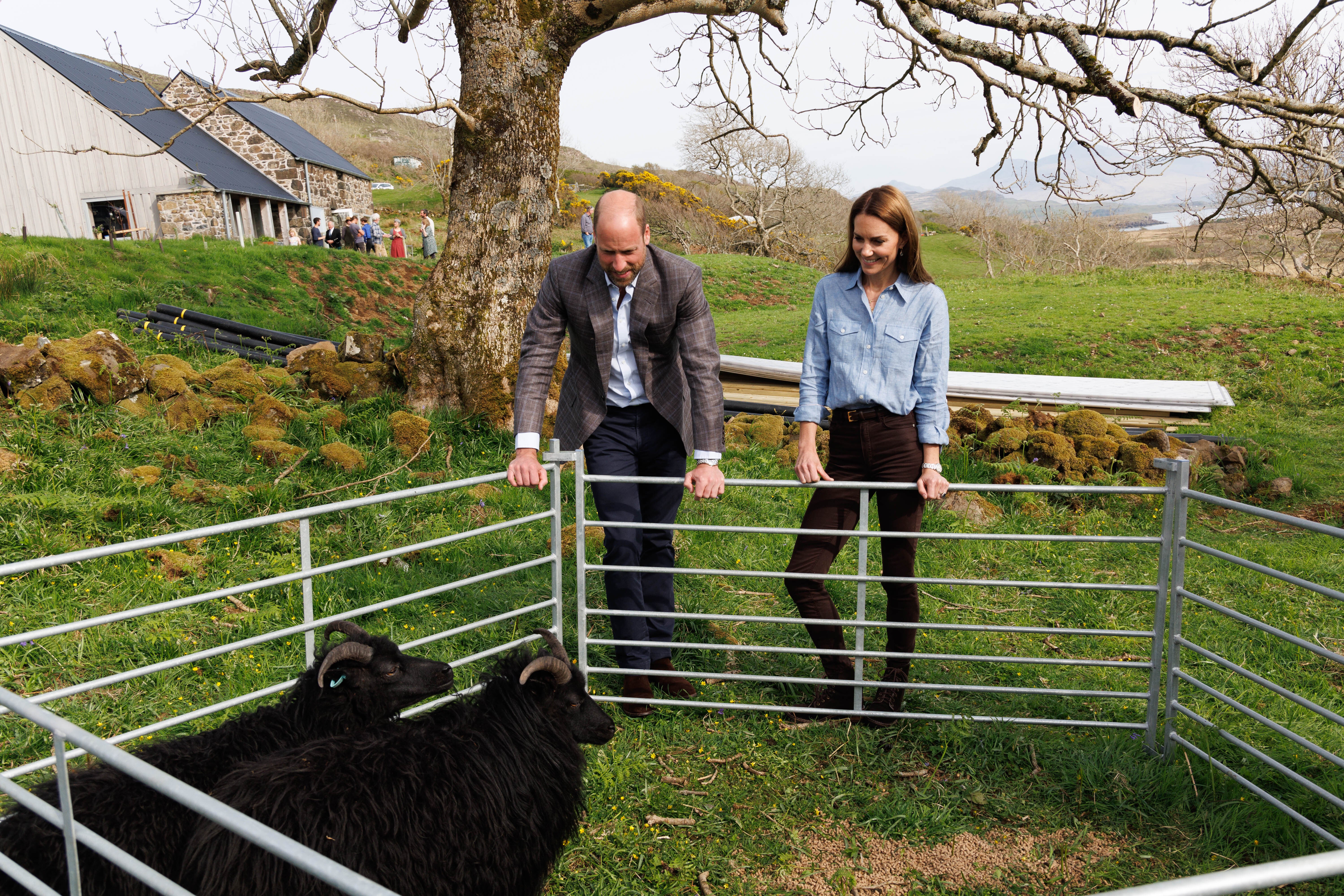 William and Kate turn their hands to cooking for crofters and ...