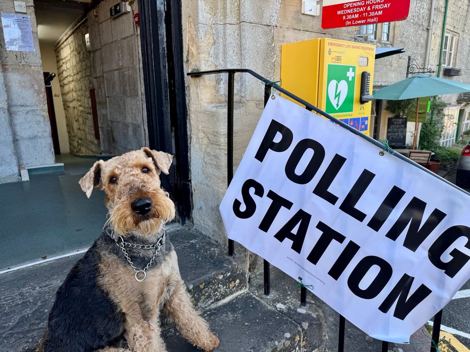 Dogs pose outside polling stations as owners urge voters to do ‘civic ...