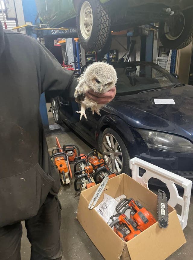 Sycamore Gap tree suspect Adam Carruthers thought it would be ‘good ...