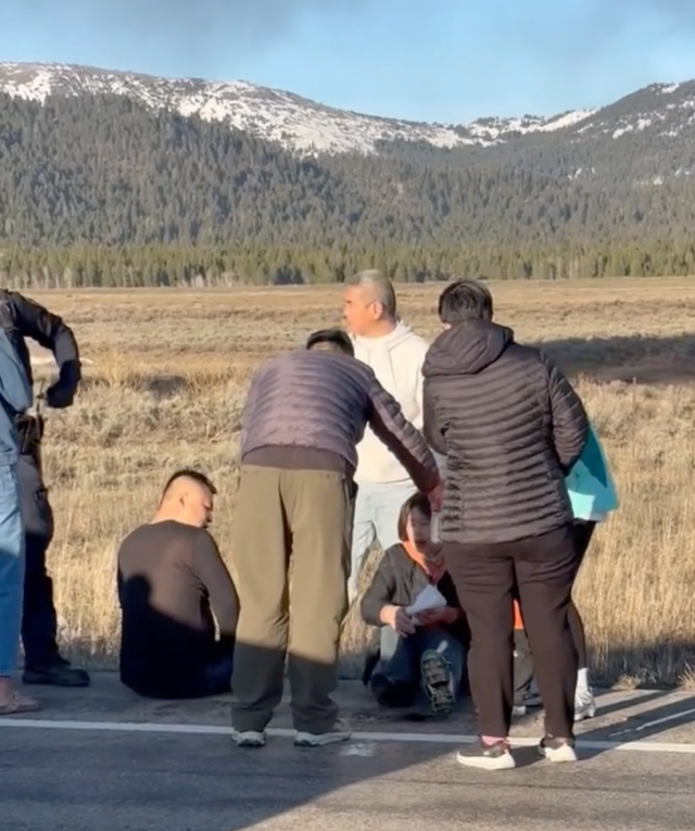 Seven dead after pickup and tour van collide near Yellowstone National ...